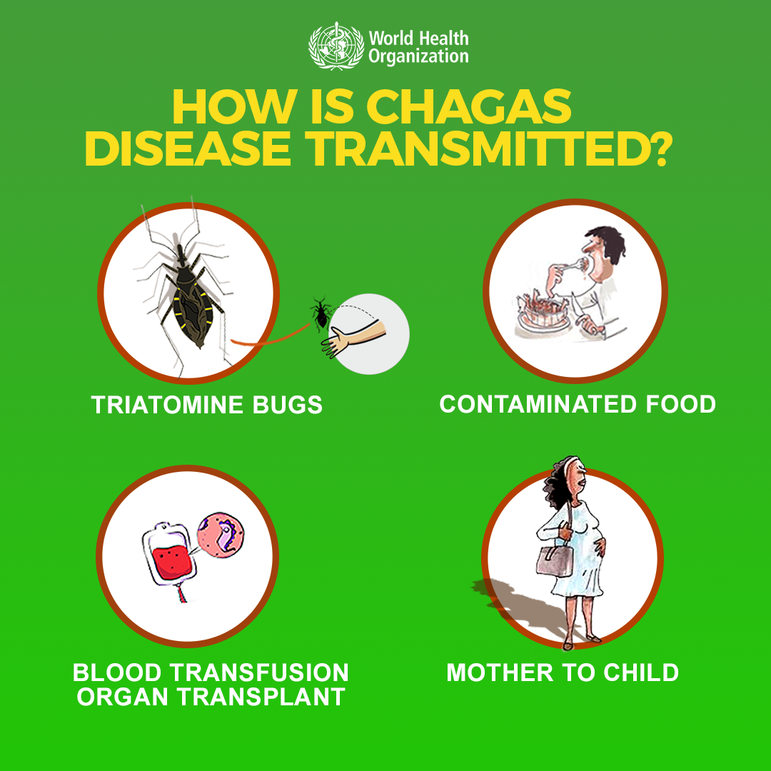World Chagas Disease Day 2020: Campaign materials