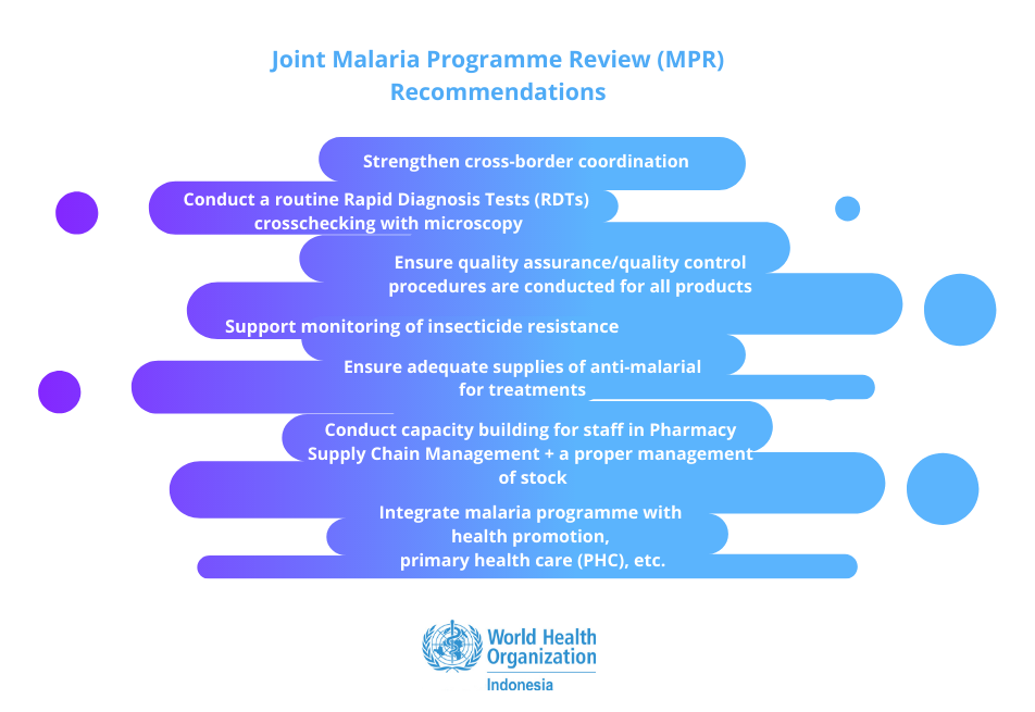 Joint Malaria Programme Review reveals Indonesia is on track for ...