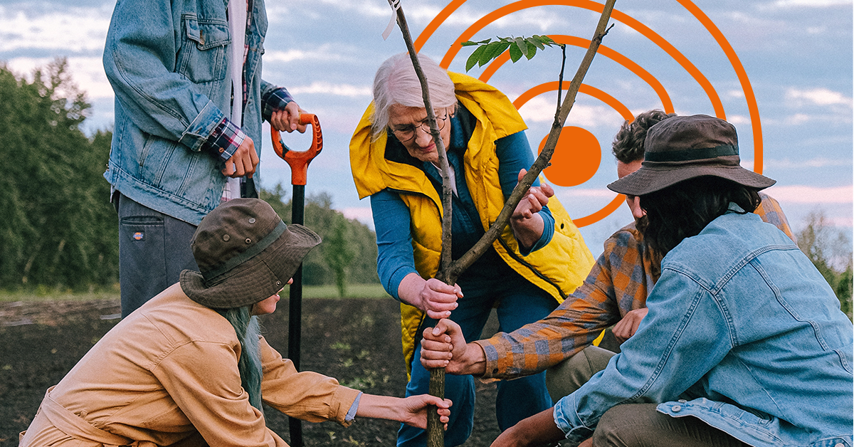 Age-friendly Environments