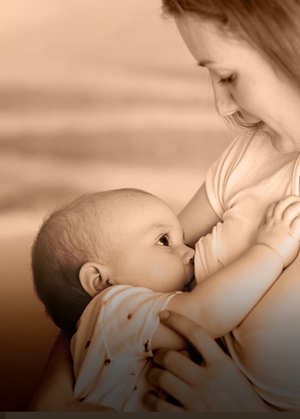 Nutrition and Food Safety