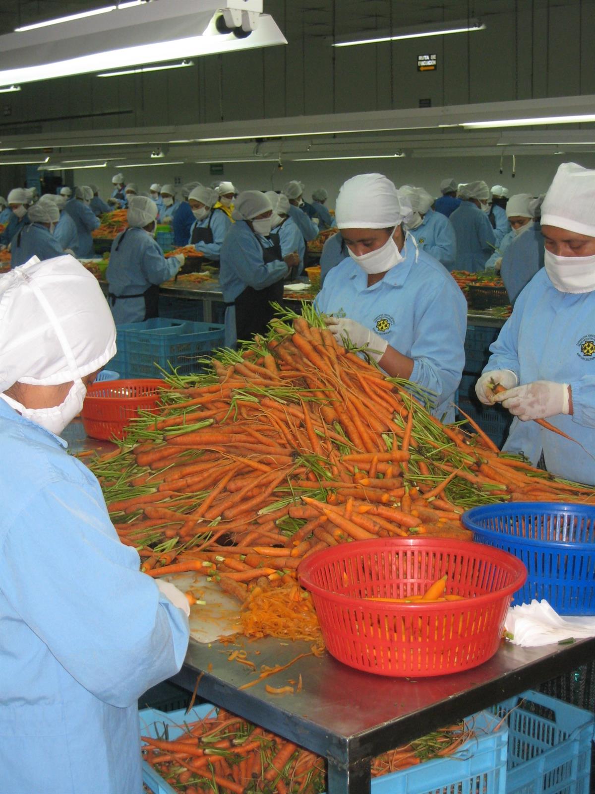 Assessing microbiological risks in food