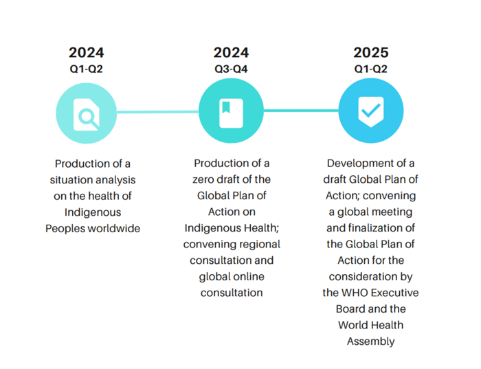 Global Plan of Action for Health of Indigenous Peoples
