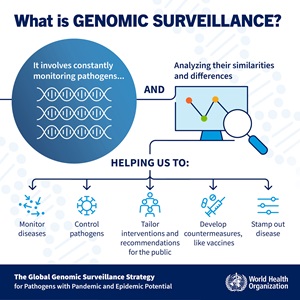 WHO global genomic surveillance strategy for pathogens with pandemic and epidemic potential 2022 ...