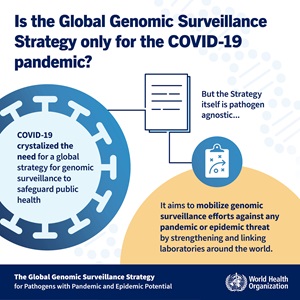 WHO global genomic surveillance strategy for pathogens with pandemic and epidemic potential 2022 ...