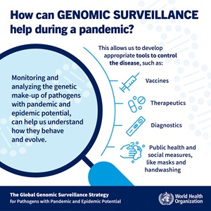 WHO global genomic surveillance strategy for pathogens with pandemic and epidemic potential 2022 ...