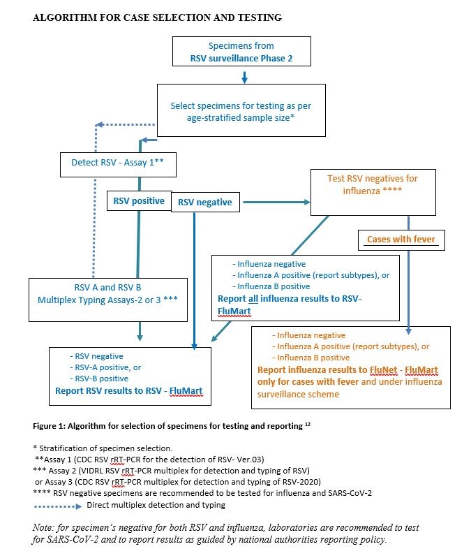 Global Influenza Programme