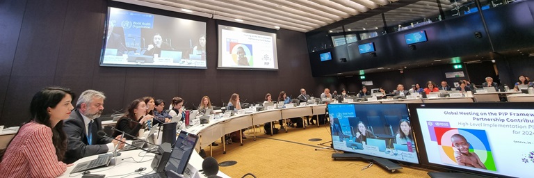 2024-2030 HLIP: Next PIP Partnership Contribution Plan | Mirage News