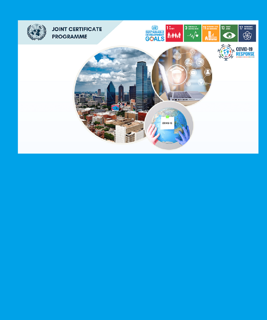 UNDRR-UNOSSC-PAHO joint webinar - Cities experience and good practices ...