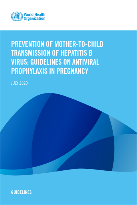 Prevention of mother-to-child transmission of hepatitis B virus ...