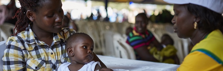 Malaria vaccine implementation programme