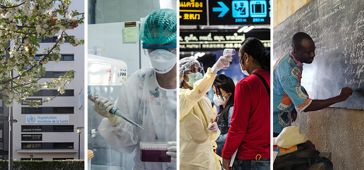 WHO Organizational structure