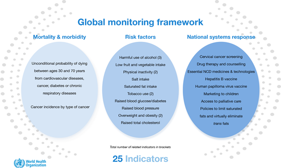 Noncommunicable Disease Surveillance, Monitoring and Reporting