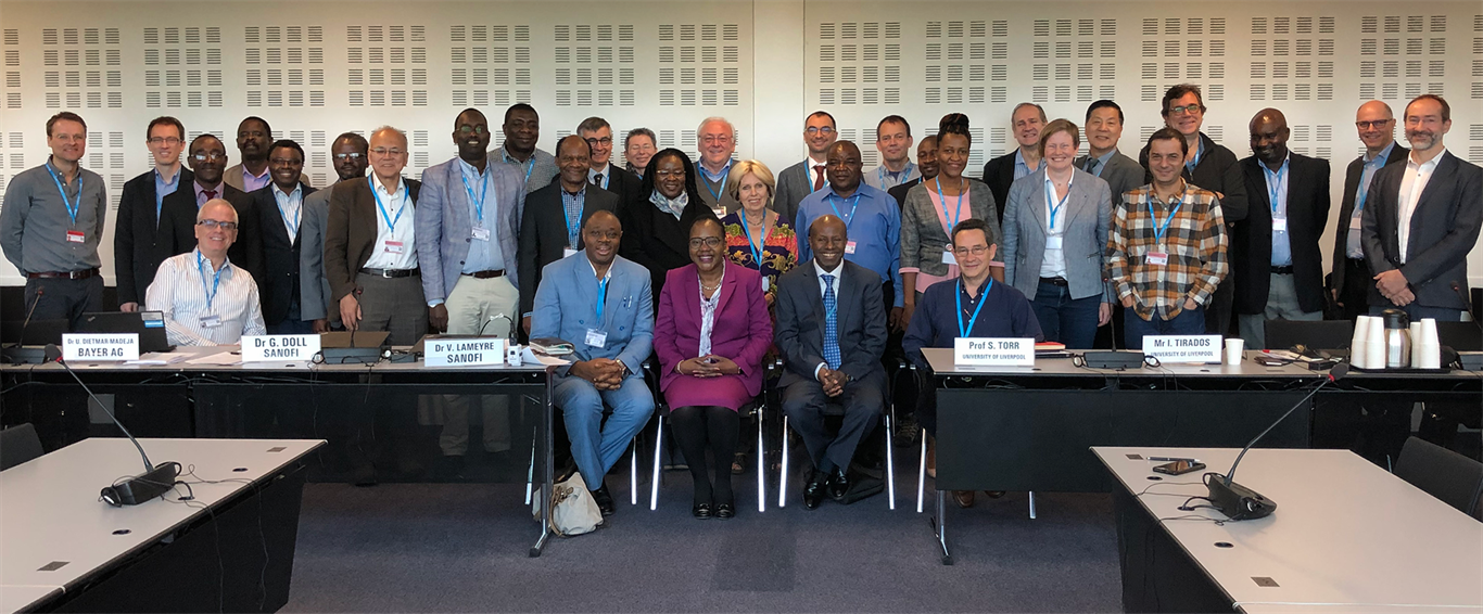 Coordinating partners and countries within one HAT network