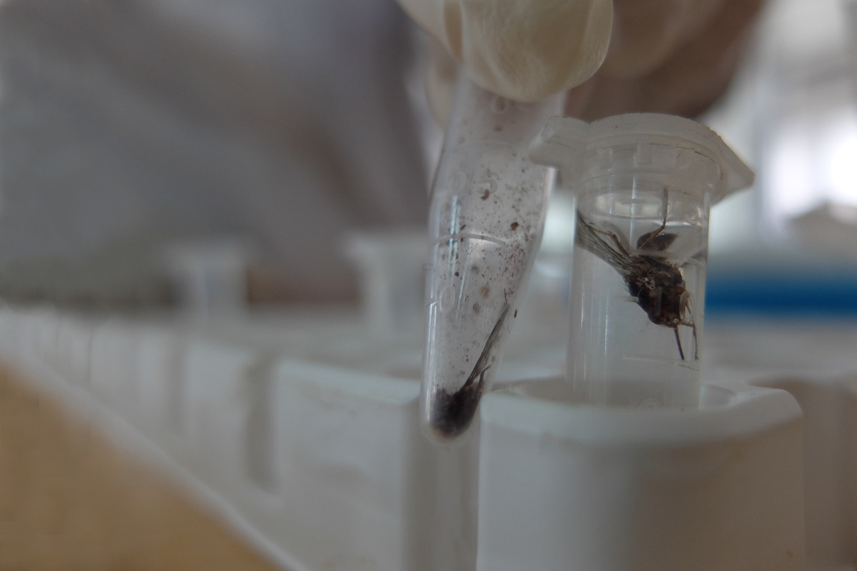 Innovative diagnostics are key to achieving the 2030 targets for ...