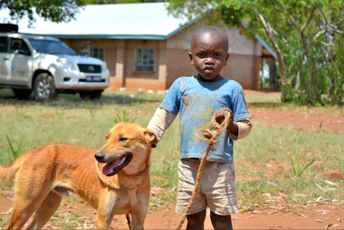 Implementing a rabies education project in Kitui County, Kenya 2020–2023