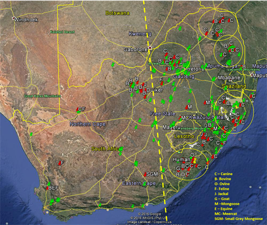 Canine rabies: South Africa uses instant messaging for daily mapping ...