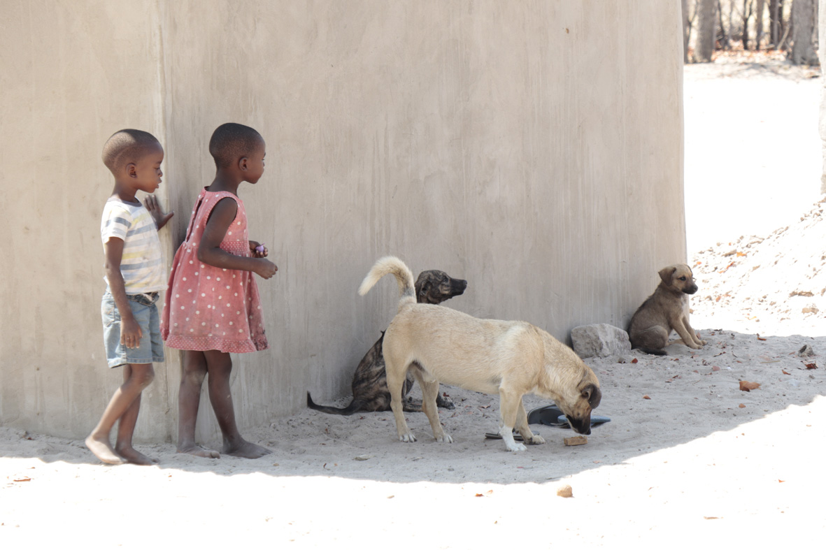 Namibia utilises One Health for rabies control including oral rabies ...