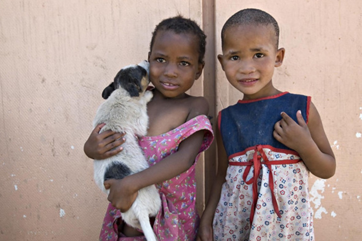 Namibia utilises One Health for rabies control including oral rabies ...