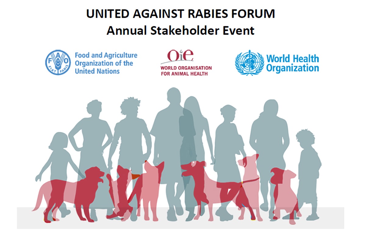 Webinar – Strategic and operational support towards Zero by 30. United ...