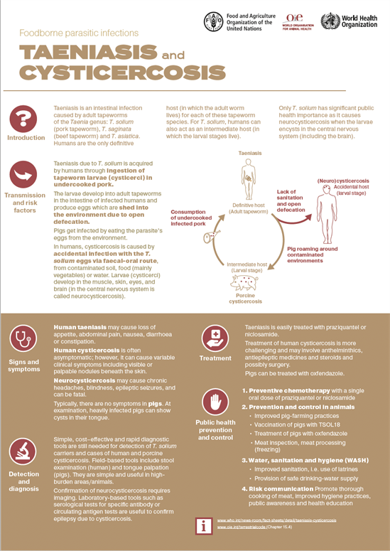 Taeniasis and cysticercosis