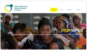 Sexual and Reproductive Health and Research (SRH)