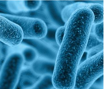 Legionellosis Outbreak Toolbox