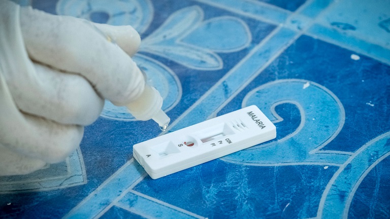 Diagnostic testing for malaria