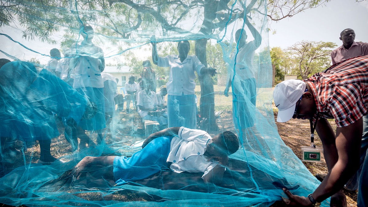 Supporting malaria vector control