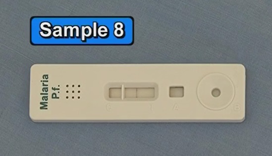 Global Malaria Programme