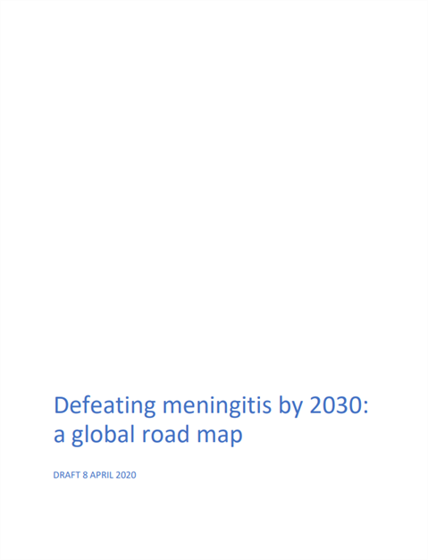 Defeating meningitis by 2030: a global road map