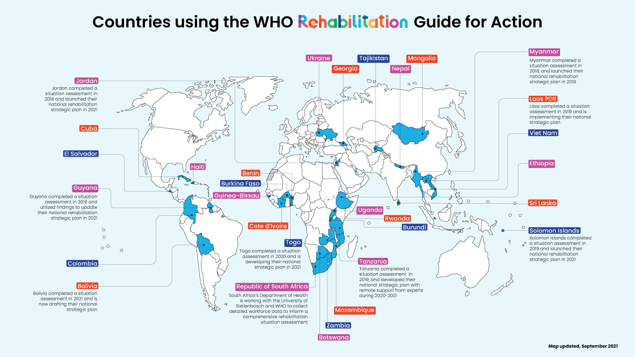 Rehabilitation in health systems: guide for action
