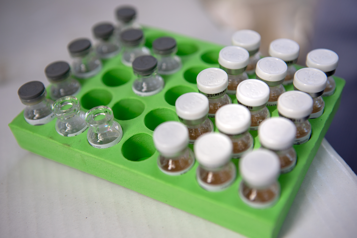 COVAX ANNOUNCES ADDITIONAL DEALS TO ACCESS PROMISING COVID-19 VACCINE ...