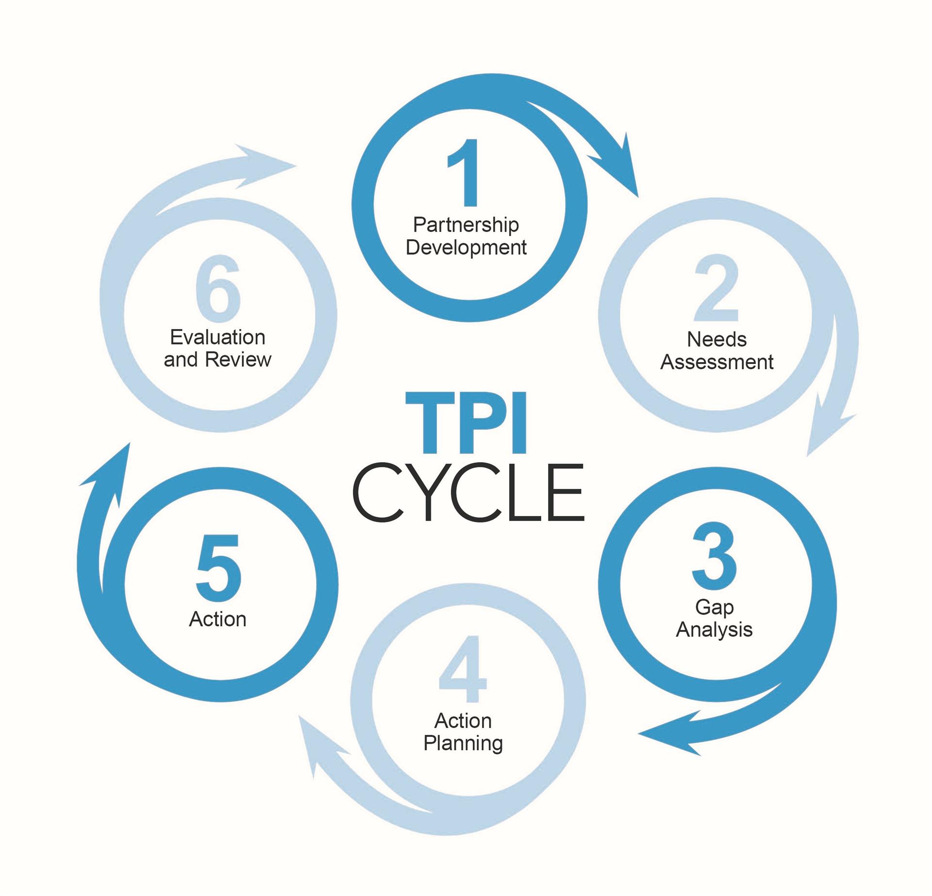 Twinning Partnerships for Improvement