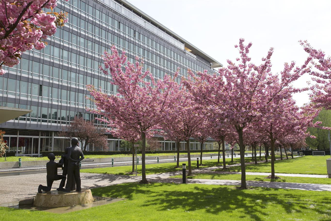 WHO headquarters leadership team