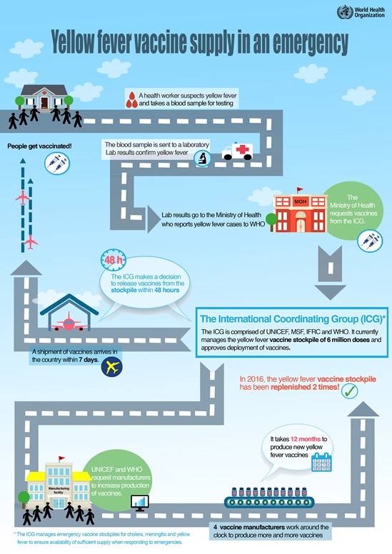 Eliminate yellow fever epidemics (EYE) strategy 2017-2026