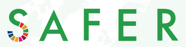 Consultancy for the Global SAFER Initiative