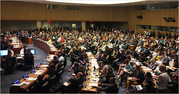 New WHO Director-General participates in the High-level Political Forum ...