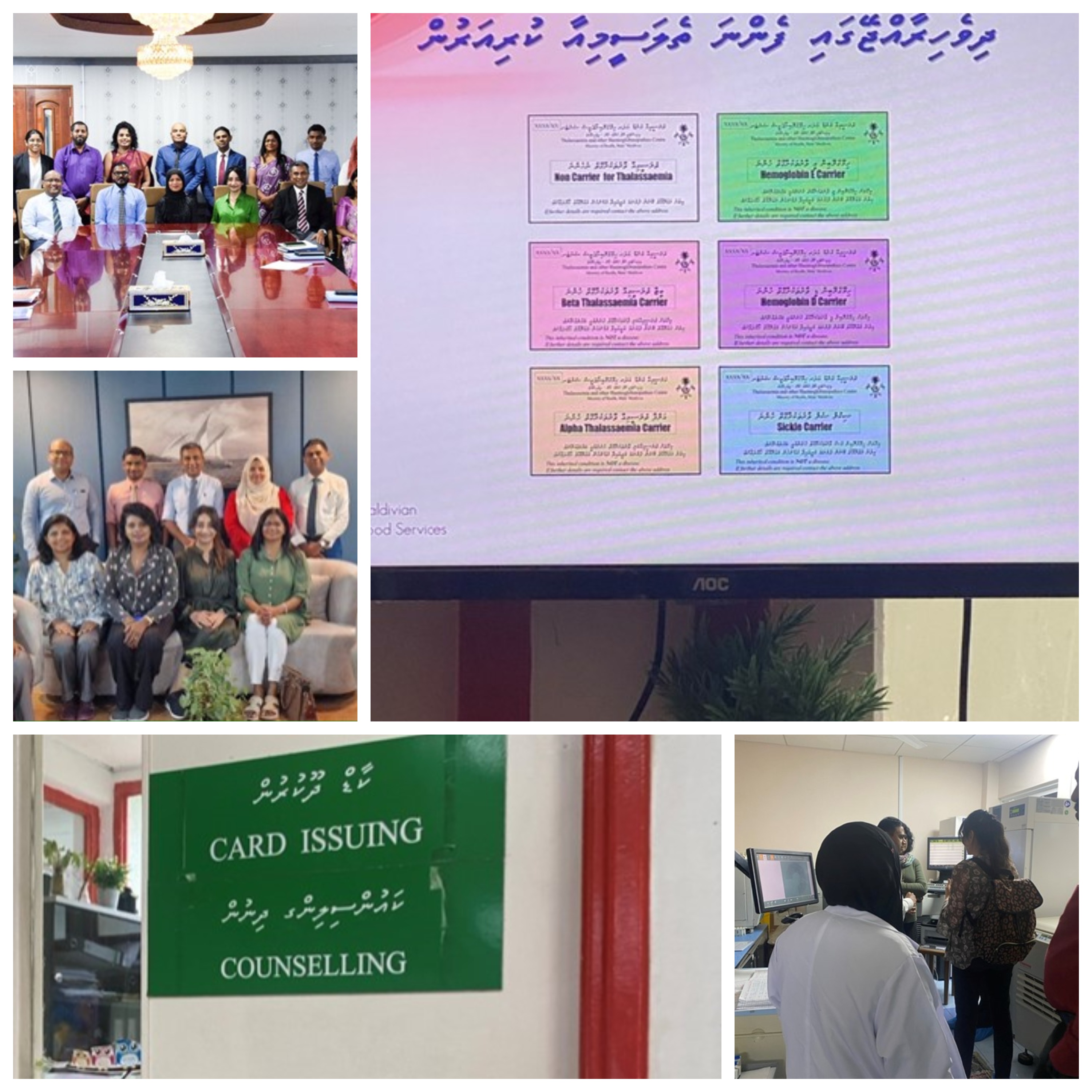 Meeting of formulation of draft road map thalassemia reduction and ...