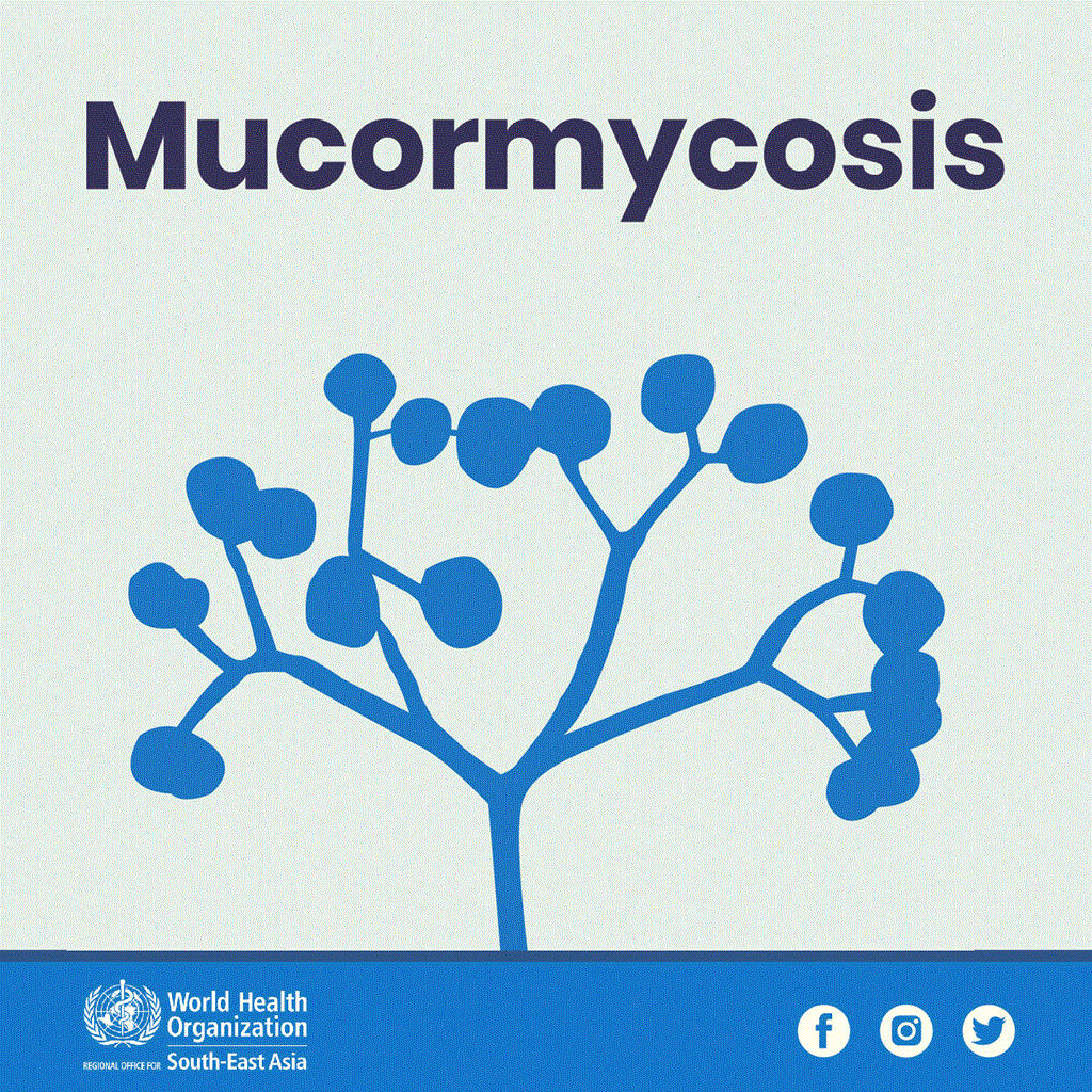 Mucormycosis