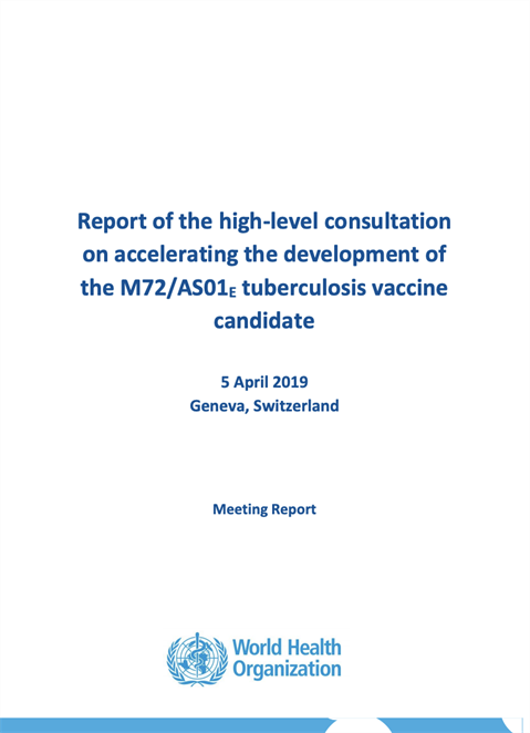 Report of the high-level consultation on accelerating the development ...