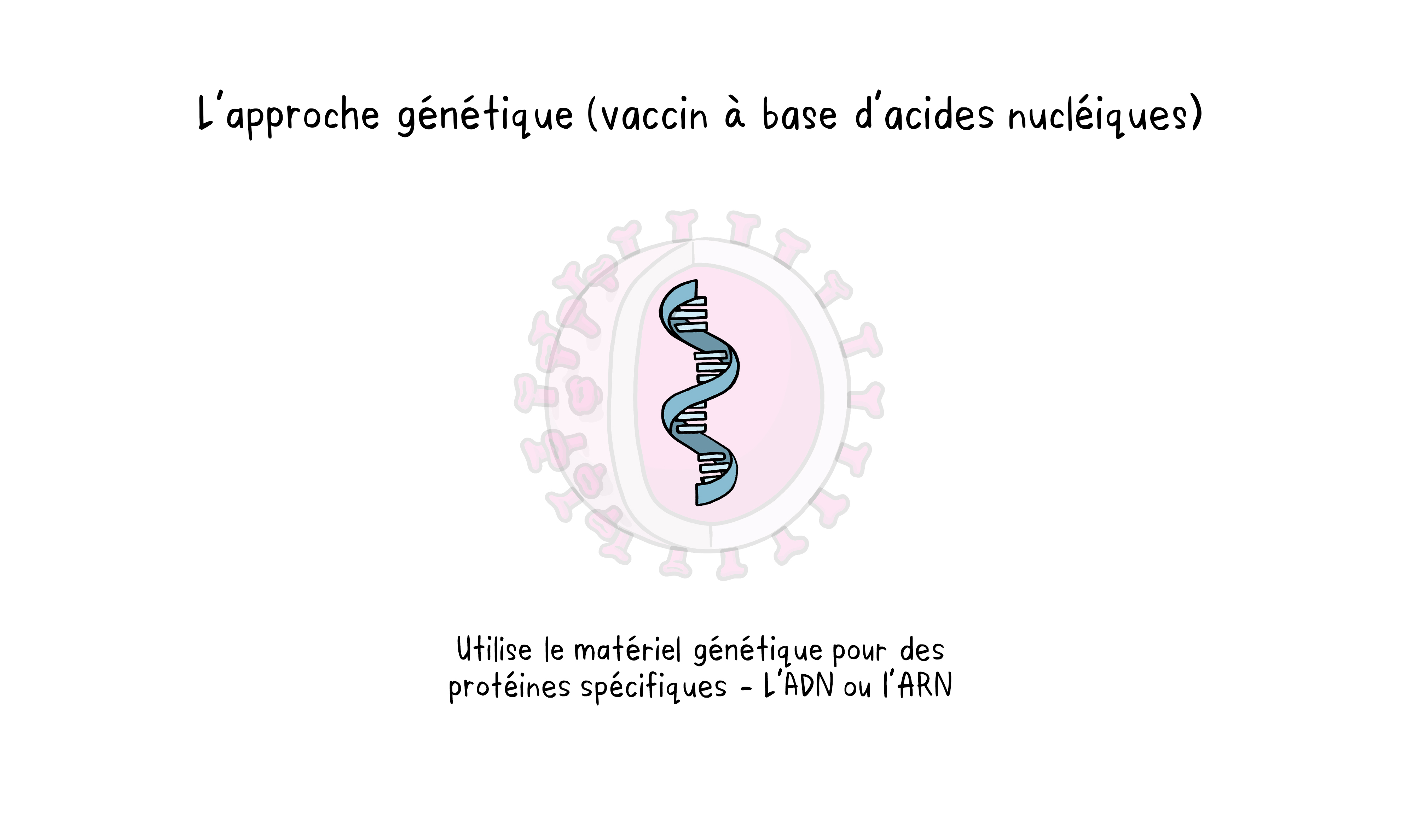 Les différents types de vaccins contre la COVID-19