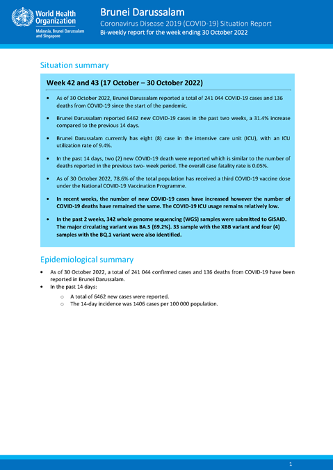 COVID-19 in Brunei Darussalam Situation Report 67