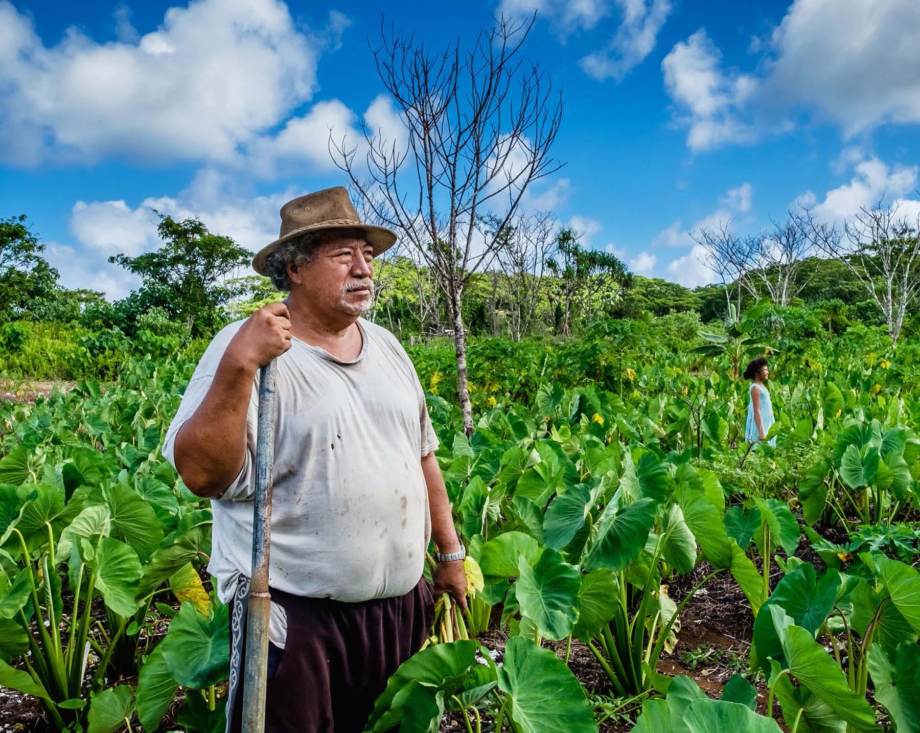WHO Niue | World Health Organization