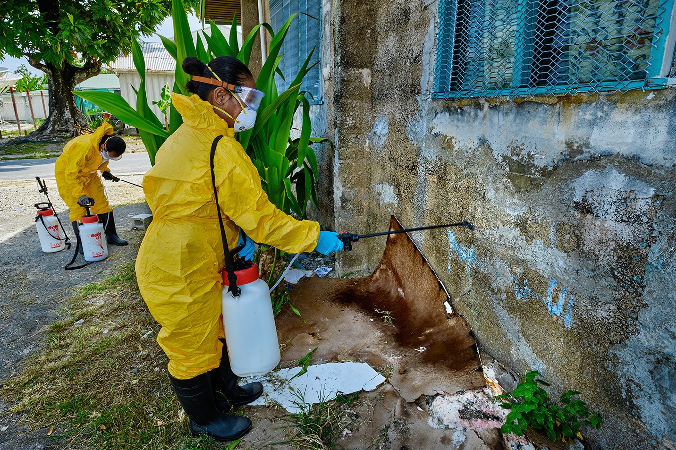 Dengue Outbreak Response In The Western Pacific Region