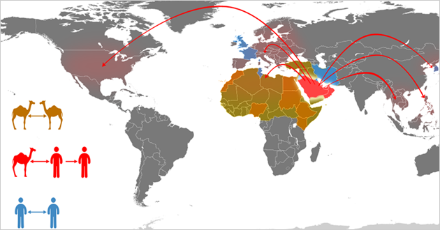 Middle East respiratory syndrome coronavirus (MERS-CoV)