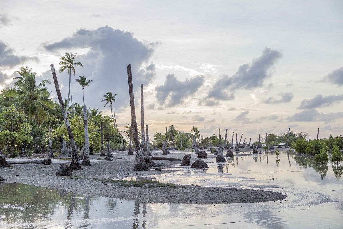 El Niño Southern Oscillation (ENSO)