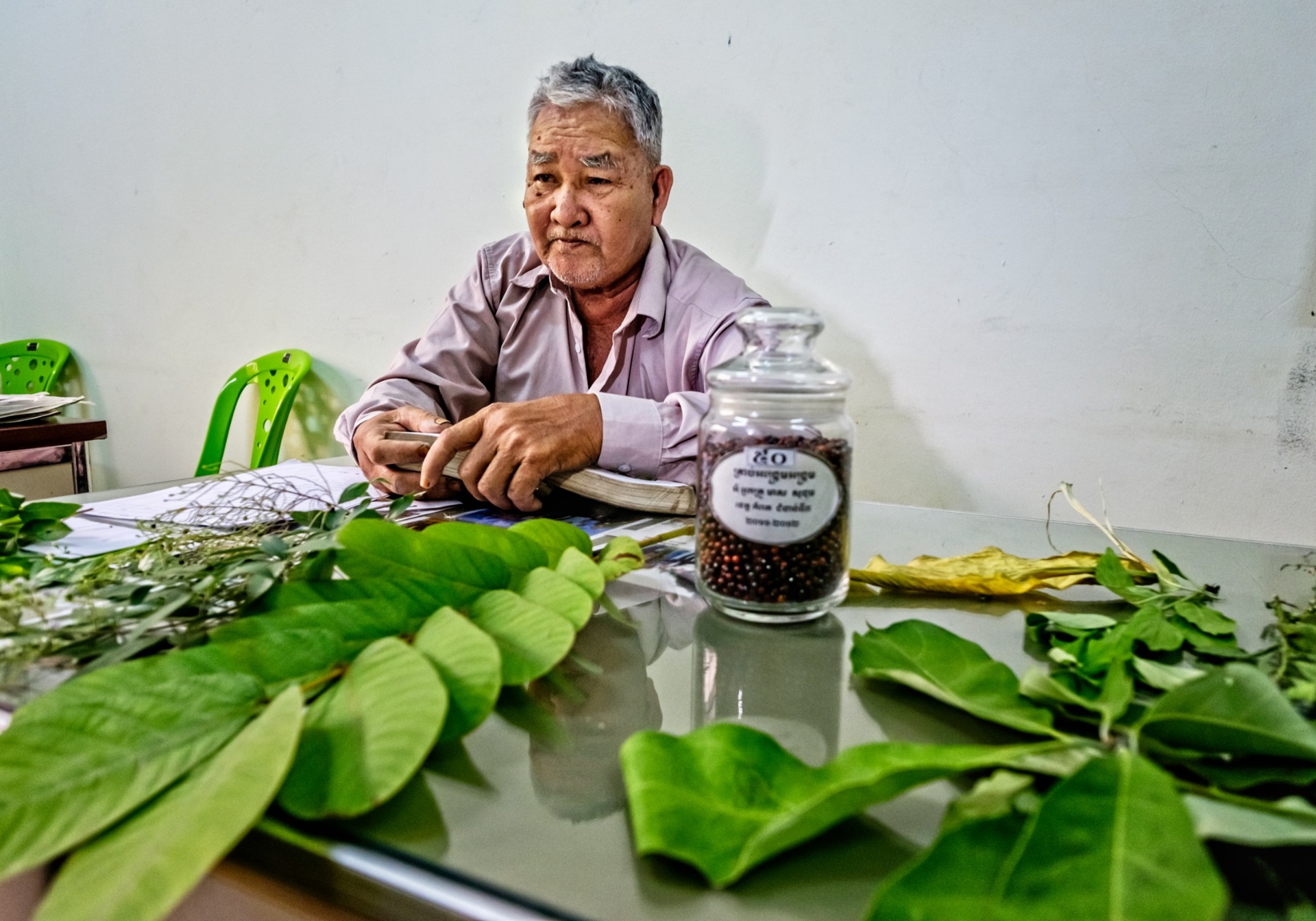 Integrating traditional and complementary medicine into national health ...